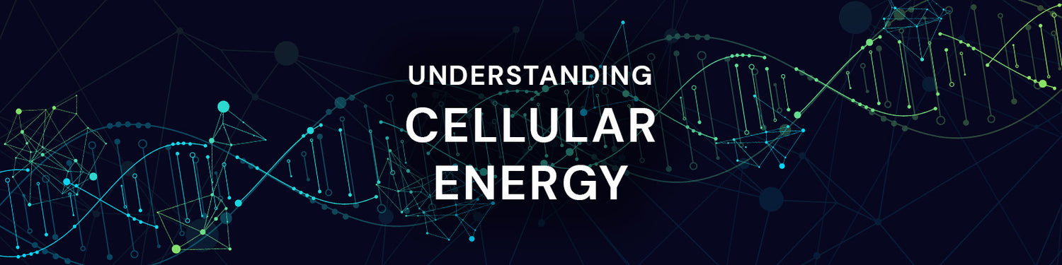 UNDERSTANDING CELLULAR ENERGY: A COMPREHENSIVE REVIEW FOR HEALTH CARE ...